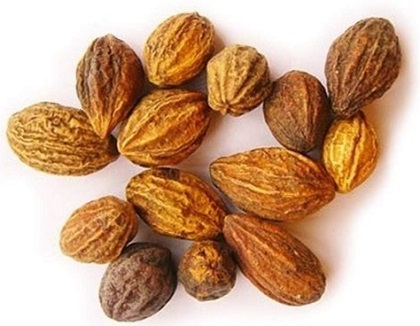 Blidopyl – Herbal Capsules for Piles, Fissure & Fistula Treatment ...